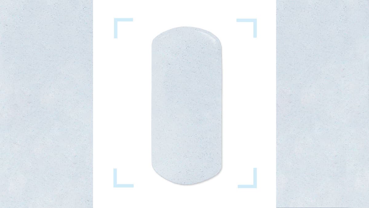 Sea Turtle - Landmark Pools